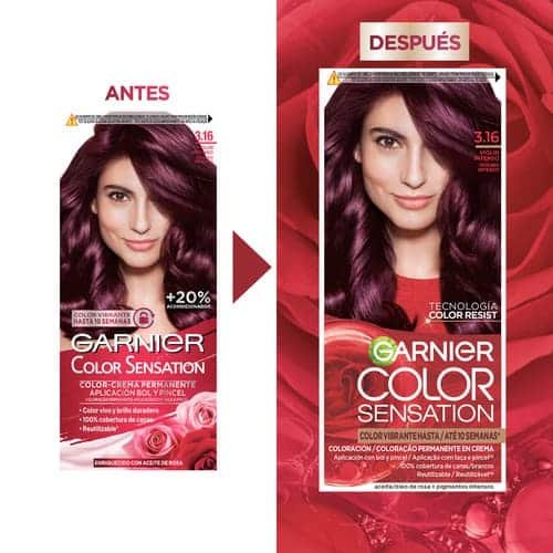 Garnier Color Sensation Tinte: Tono Violin Intenso | Garnier