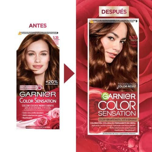 Tinte de pelo castaño canela 5.35 Color Sensation | Garnier