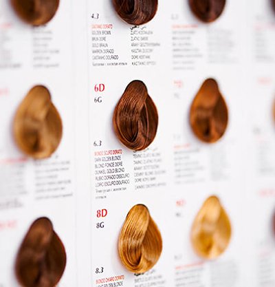 Color Match | Garnier