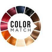 Descubre todos nuestros productos de la gama Color Match | Garnier